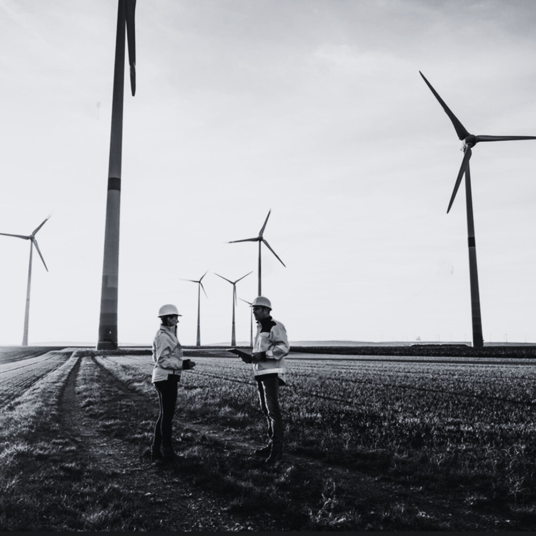 Empowering Impact: Energy Campaigns - The Cusp